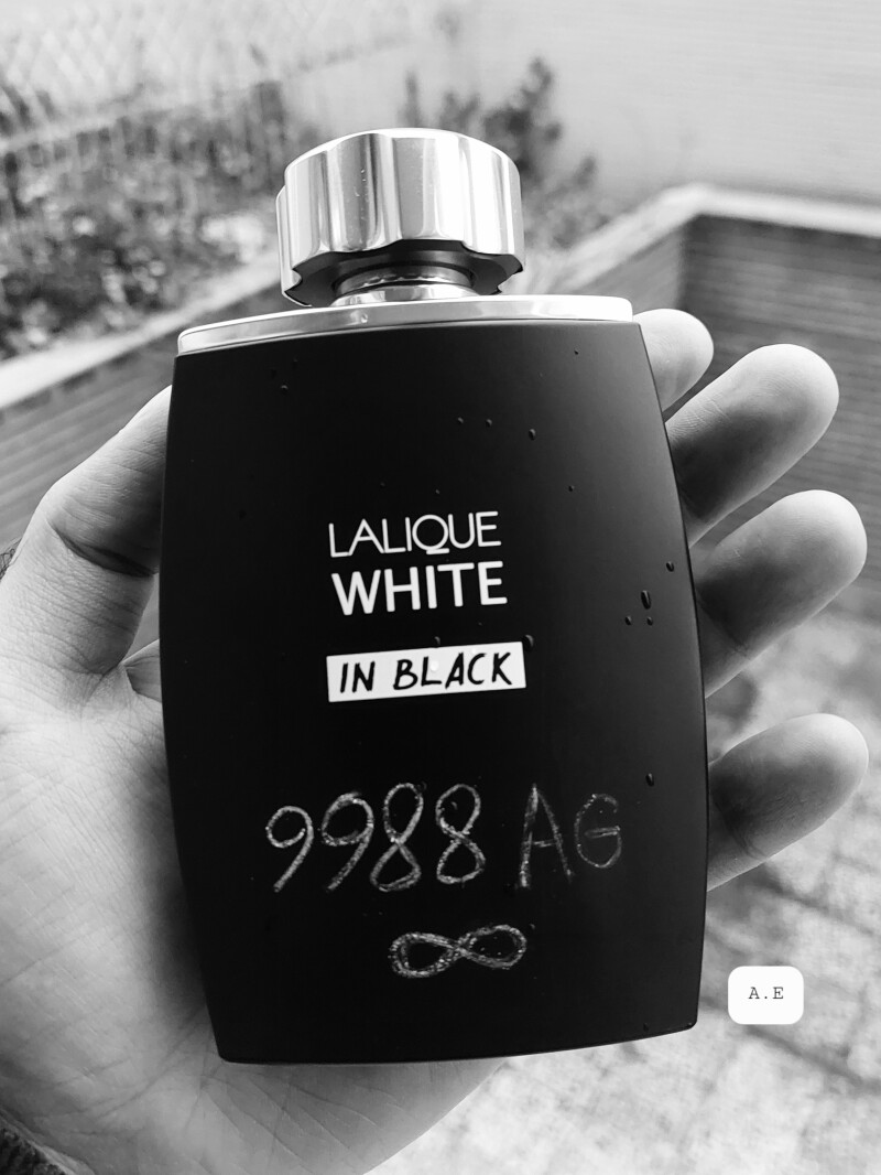 بارون اومد و یادم داد ، تو زورت بیشتره عطرافشان