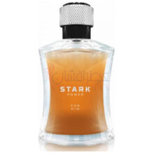 عطر دیلیس پارفوم استارک پاور - Dilis Parfum Stark Power - عطرافشان