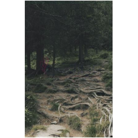 عطر اروی - Arve Arve - عطرافشان